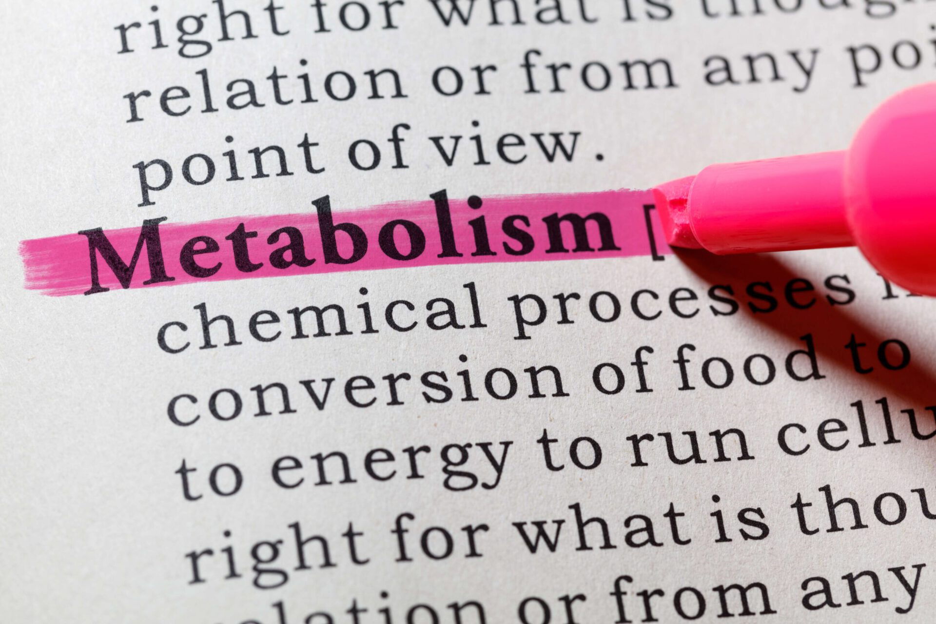 Stofwisseling Versnellen en Afvallen! | Blog Metabolic Balance