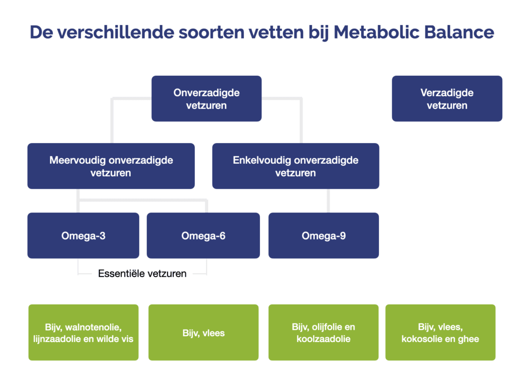 Kies voor gezonde vetten | Blog Metabolic Balance